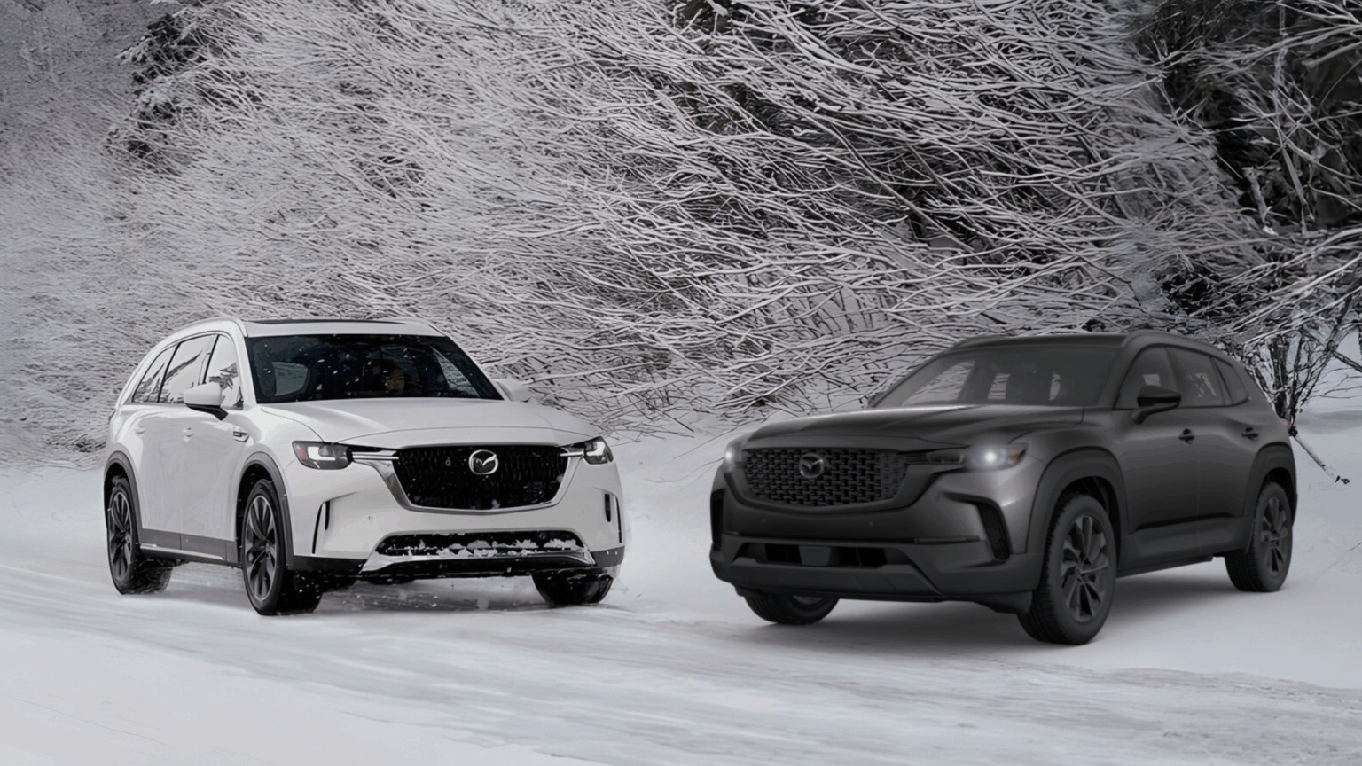 Trouver le bon modèle Mazda : guide complet pour faire le bon choix ...